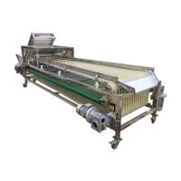 China Multifunctional Fruit Size Grading Sorting Machine 220V 1.5kW for Avocado Oranges Dates for sale