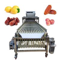 China Multifunctional Fruit Size Grading Sorting Machine 220V 1.5kW for Avocado Oranges Dates for sale