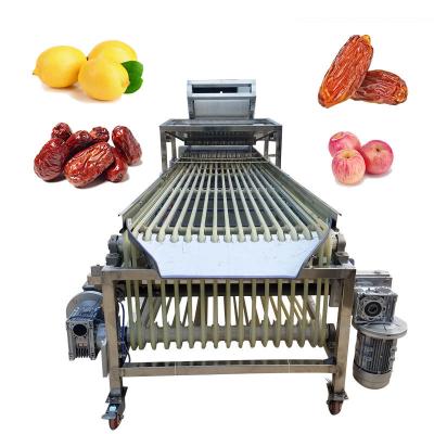 China Multifunctional Fruit Size Grading Sorting Machine 220V 1.5kW for Avocado Oranges Dates for sale