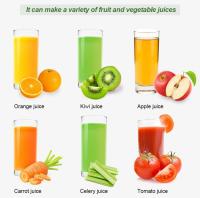 China Pineapple Tomato Mango Pulp Juicer Extractor Machine Cold Press Juicer Machine 500-2500KG/H for sale