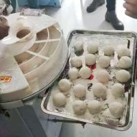 China Commercial Bread Dough Moulding Machine Stainless Steel For Bakery Bread for sale