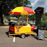 China Stainless Steel Hot Dog Cart with Grill and Deep Fryer 230x80x90cm for Street Vending for sale