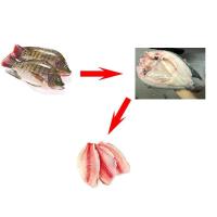 China Automatic Tilapia Processing Machine 50-120pcs/Min Fish Scaling Gutting Equipment Stainless Steel for sale