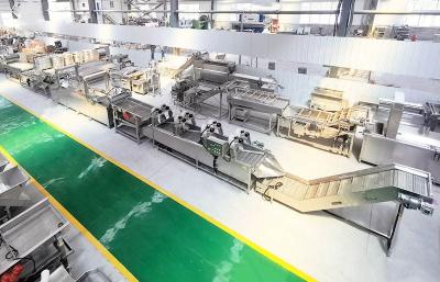 China Automatic Plantain Chips Production Line 100-500kg/h Multi-Fruit Slicing Frying Machine for sale