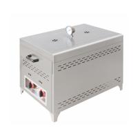 China Gas Portable Pizza Oven 500°C Baking Temperature with 305x305mm Cooking Area for Indoor Outdoor Kitchen Use for sale