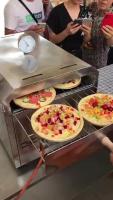 China Gas Portable Pizza Oven 500°C Baking Temperature with 305x305mm Cooking Area for Indoor Outdoor Kitchen Use for sale