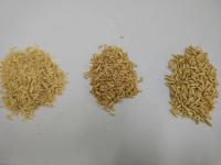 China YMTK56 Oat Centrifugal Shelling Machine 0.3-0.5 TPH Capacity 3kW Power for Buckwheat Barley Processing for sale
