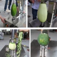 China Avocado Pulp Juice Making Machine Fruit Cold Press Juicer 2-4PC/Min for sale