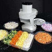 China Industrial Vegetable Chopper Potato Chips Cutter Lemon Slicer Shredder 150kg/h 220V for sale