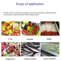 China Air Bubble Industrial Fruit And Vegetable Washing Machine 220/380v for sale
