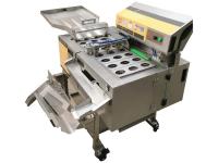 China Liquid Egg Processing Equipment 12000pcs/h Egg Breaker Pasteurization Machine for sale