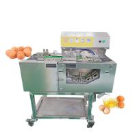 China Liquid Egg Processing Equipment 12000pcs/h Egg Breaker Pasteurization Machine for sale