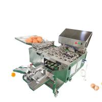 China Liquid Egg Processing Equipment 12000pcs/h Egg Breaker Pasteurization Machine for sale