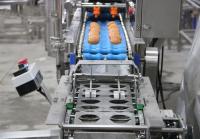 China Industrial Automatic Egg Breaker Yolk Separator Machine 4000 Eggs Per Hour for sale