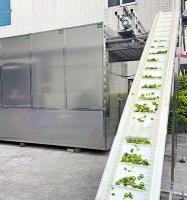 China Customized Stainless Steel Garlic Drying Machine 380V Industrial Food Dehydrator with 30-80℃ Temperature Range for sale
