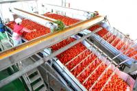 China Industrial Tomato Canning Production Line with 150 Bottles/Min Capacity and ±0.5% Filling Accuracy for Tomato Concentrate for sale