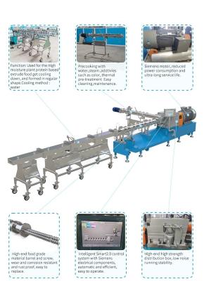 China Textured Vegan Protein Making Machine 10-1000kg/h Capacity with 18.5-110kW Power for Plant-Based Meat Production for sale
