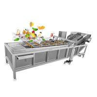 China Automatic Fruit Size Grader Vegetable Processing Machine 220V Brush Roller Washing for sale