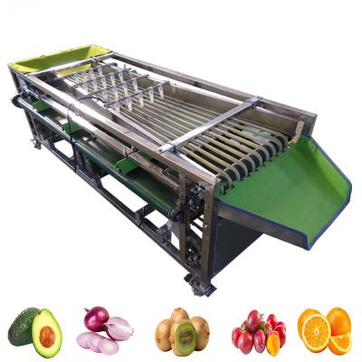 China Automatic Fruit Size Grader Vegetable Processing Machine 220V Brush Roller Washing for sale
