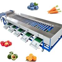 China Automatic Fruit Vegetable Processing Machine 220V Brush Roller Washer for Grading Sorting Fruit Weight Selecting for sale