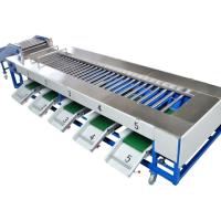 China Automatic Fruit Vegetable Processing Machine 220V Brush Roller Washer for Grading Sorting Fruit Weight Selecting for sale