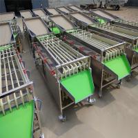 China 220V Automatic Fruit Size Grader for Vegetable Processing Machine CE Certified for sale