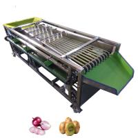 China 220V Automatic Fruit Size Grader for Vegetable Processing Machine CE Certified for sale