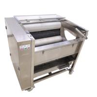 China Automatic Fruit Size Grader Vegetable Washing Machine 2024 Brush Roller for sale