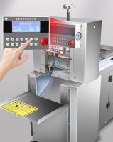 China Frozen Meat Slicing Machine 200kg/h Capacity Automatic Beef Mutton Cutter for sale