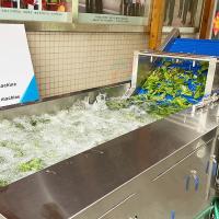 China Commercial Automatic Vegetable Washing Machine 800-1000kg/h Air Bubble Cleaning Conveyor 380V for sale