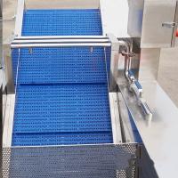 China Commercial Automatic Vegetable Washing Machine 800-1000kg/h Air Bubble Cleaning Conveyor 380V for sale