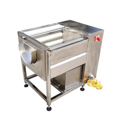 China Industrial Brush Roller Potato Ginger Washing Peeling Machine 200-1000kg/h for sale