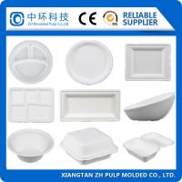 China High Efficiency Paper Pulp Molding Machine 30kw Plate Forming for sale