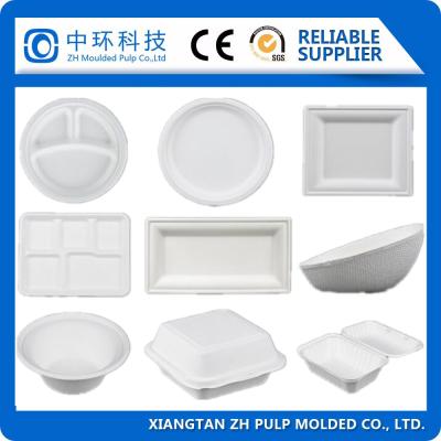 China High Efficiency Paper Pulp Molding Machine 30kw Plate Forming for sale