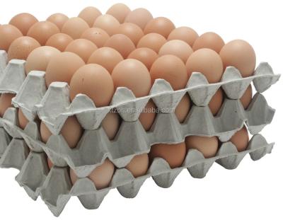 China Full Automatic Egg Box Machine , Egg Crate Manufacturing Machine 115kw for sale