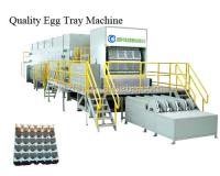China Small Packaging Waste Carton Recycling Machine 80kw Pulp Molding for sale