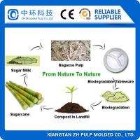 China Multi Function Pulp Molding Machine Paper Plate Bowl Egg Tray Production Line Fully Automatic Pulp Tableware Making Machine for sale