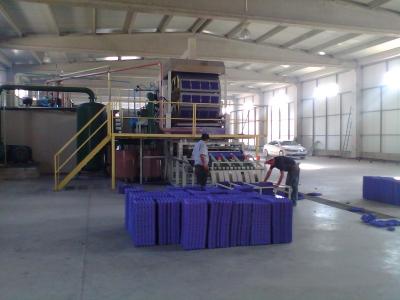 China CE Certified Pulp Egg Tray Machine Customized Fruit Tray Machine for sale