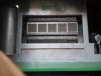 China Equipo de moldeo de pulpa para bandejas de frutas y envases ecológicos for sale