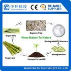 China Automatic Pulp Molding Machine Disposable Paper Plate And Bowl Making Machine For Biodegradable Tableware for sale