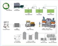 China Automatic Pulp Molding Machine Disposable Paper Plate And Bowl Making Machine For Biodegradable Tableware for sale
