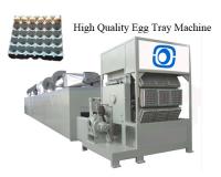 China Automatic Pulp Molding Machine Disposable Paper Plate And Bowl Making Machine For Biodegradable Tableware for sale