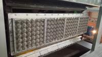 China Factory Price Automatic Egg Tray Forming Machine Waste Paper Recycle Pulp Egg Tray Making Line Multi Layer Dryer Available for sale