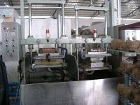 China Semi Automatic Small Egg Box Forming Machine 440V Paper Moulding for sale