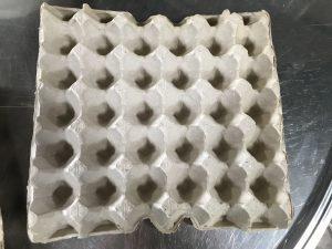China Waste Paper Pulp Molding Equipment Customizable Egg Carton Making Machine for sale