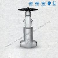 China Flange Ends Cast Steel Gate Valves ASME B16.5 Size 2