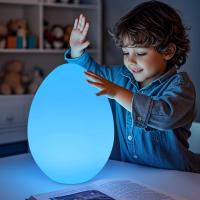 China Modern Eco-Friendly Egg-Shaped LED Table Lamp Indoor Night Light Stylish Design for Reading Room AC DC Power Supply Remote for sale