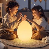China Modern Eco-Friendly Egg-Shaped LED Table Lamp Indoor Night Light Stylish Design for Reading Room AC DC Power Supply Remote for sale