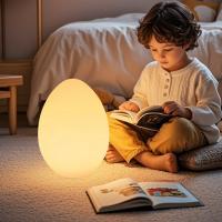 China Modern Eco-Friendly Egg-Shaped LED Table Lamp Indoor Night Light Stylish Design for Reading Room AC DC Power Supply Remote for sale