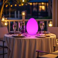 China Modern Eco-Friendly Egg-Shaped LED Table Lamp Indoor Night Light Stylish Design for Reading Room AC DC Power Supply Remote for sale